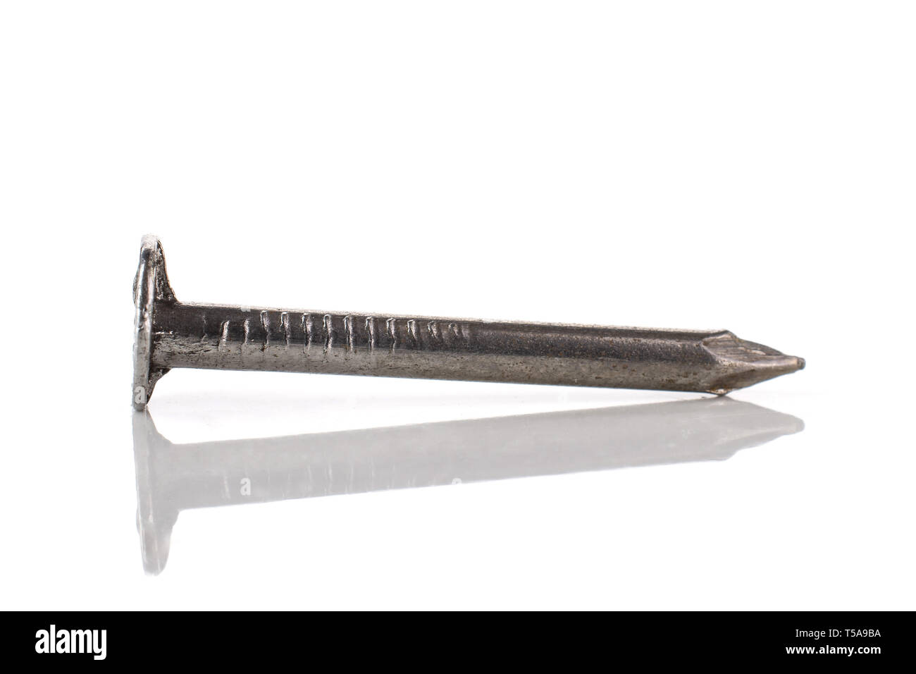 One whole sharp metal nail work item isolated on white background Stock ...