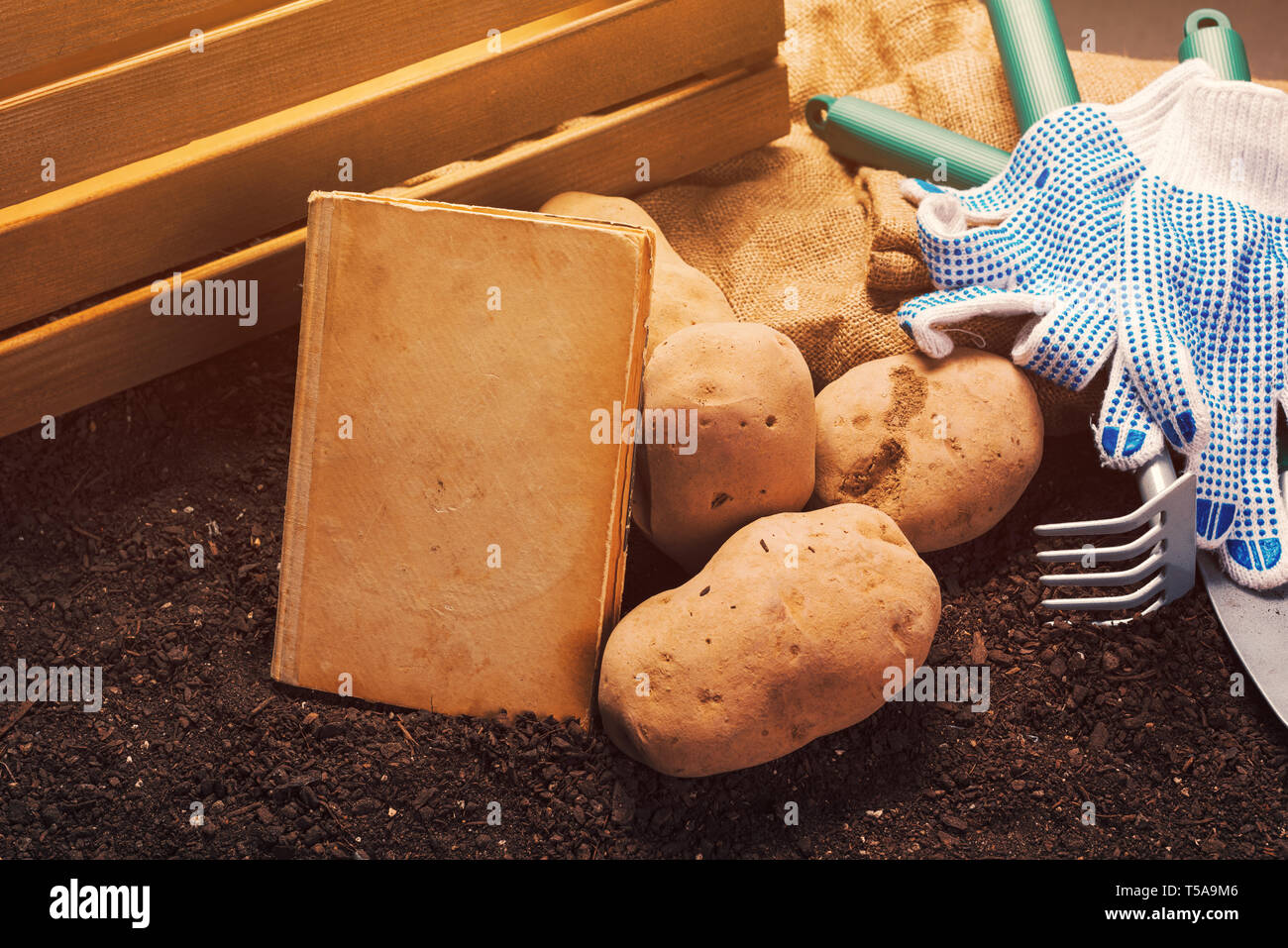 Old book on growing organic potato, mock up blank cover as copy space ...