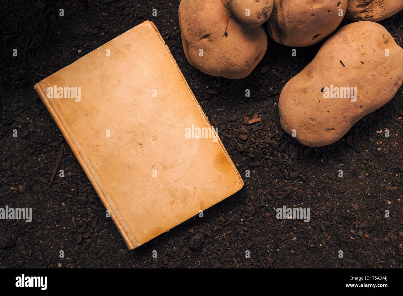Old book on growing organic potato, mock up blank cover as copy space ...