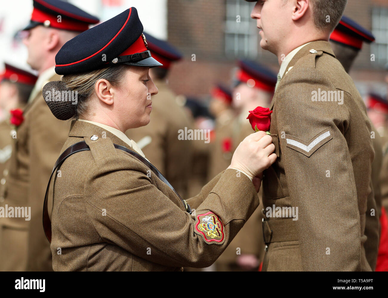 16th regiment royal artillery hi-res stock photography and images - Alamy