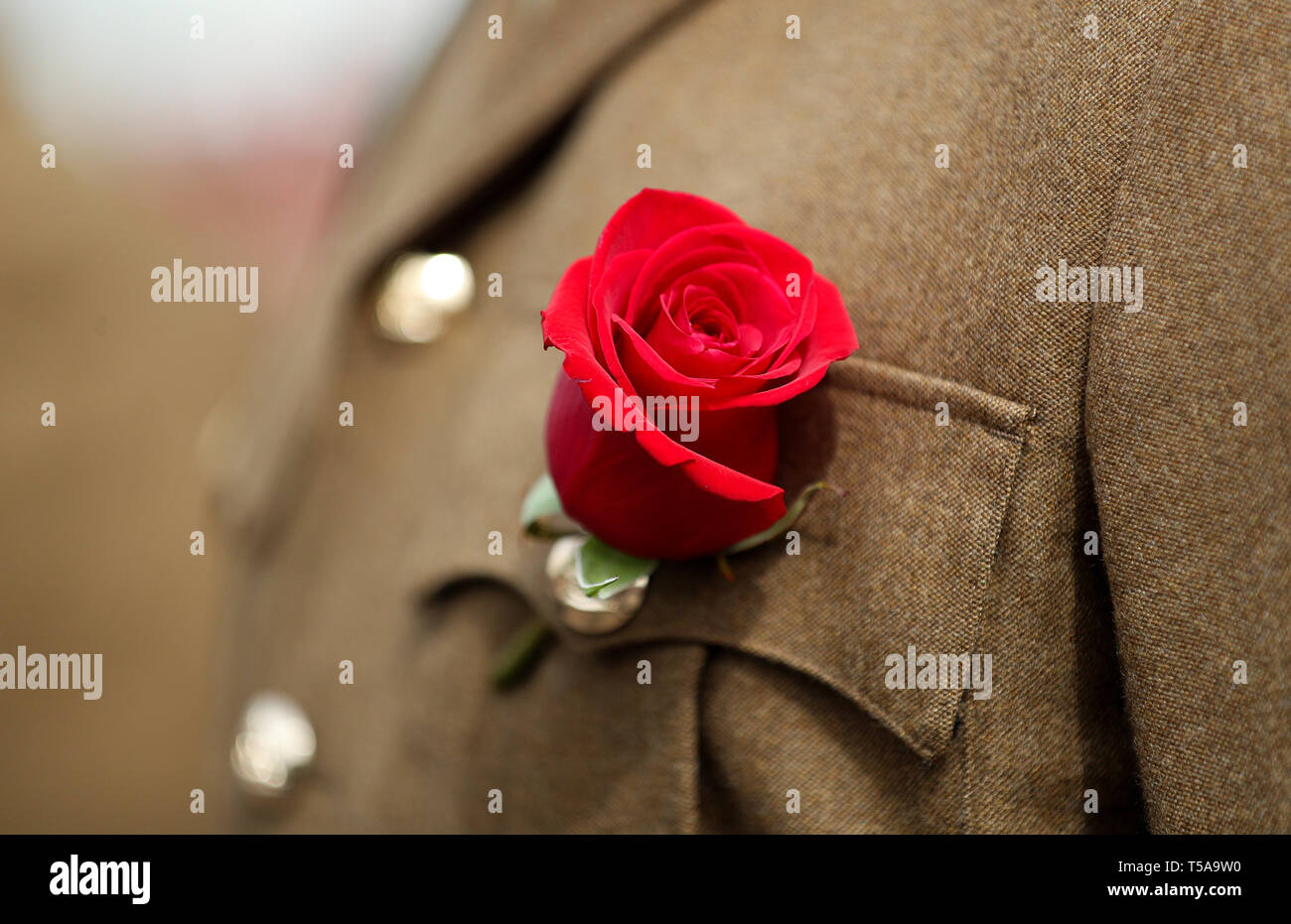 16th regiment royal artillery hi-res stock photography and images - Alamy