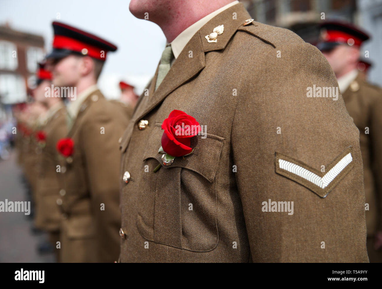 Red roses on the jackets of members of 16th Regiment Royal Artillery ...