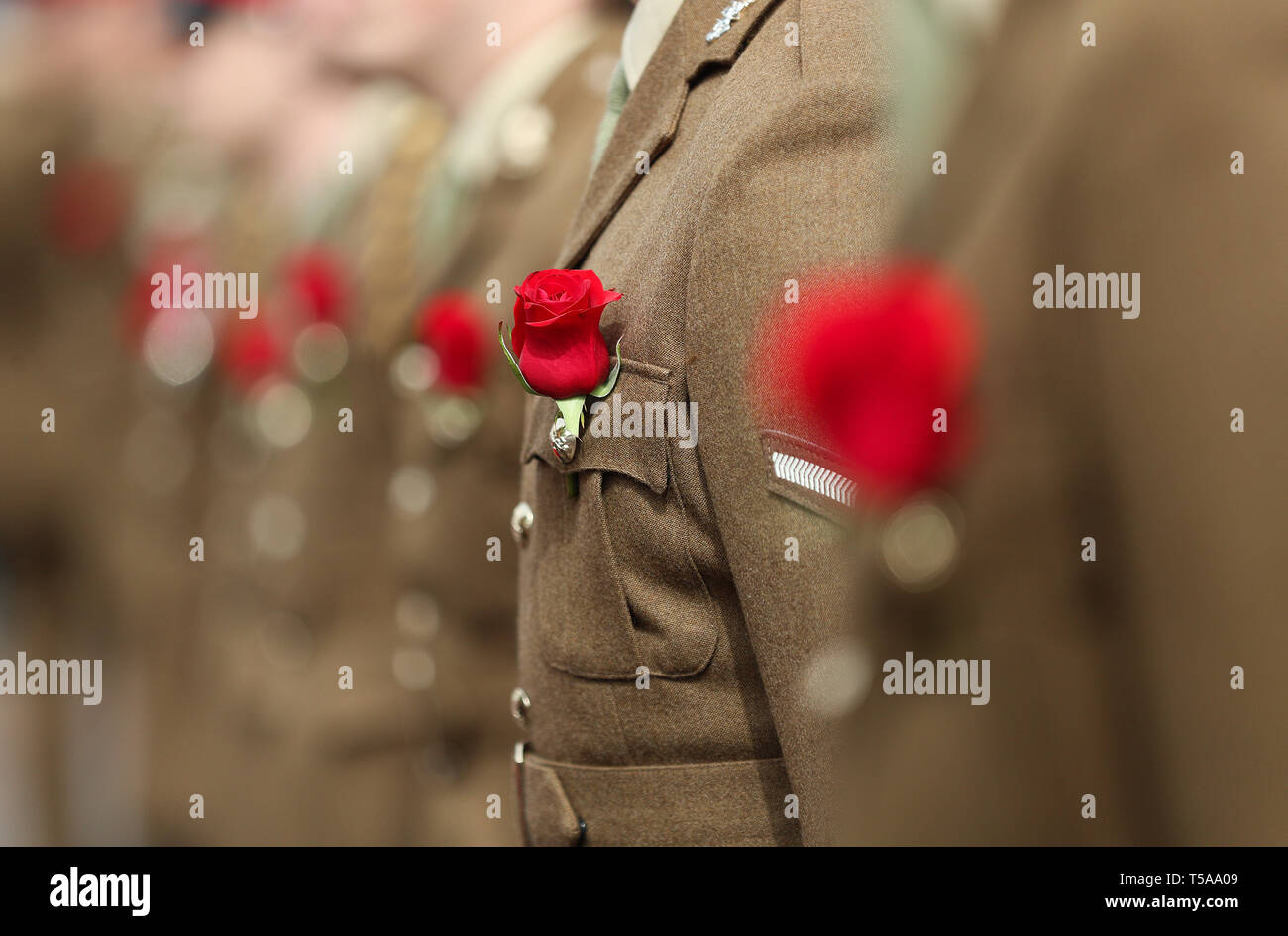 Member 16th regiment royal artillery hi-res stock photography and ...