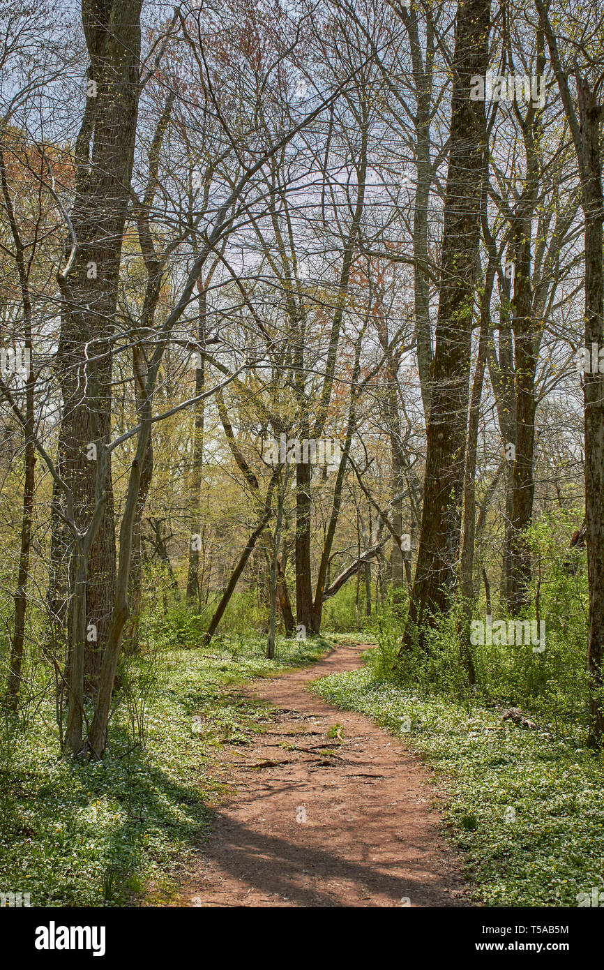 Evansburg state park hi-res stock photography and images - Alamy