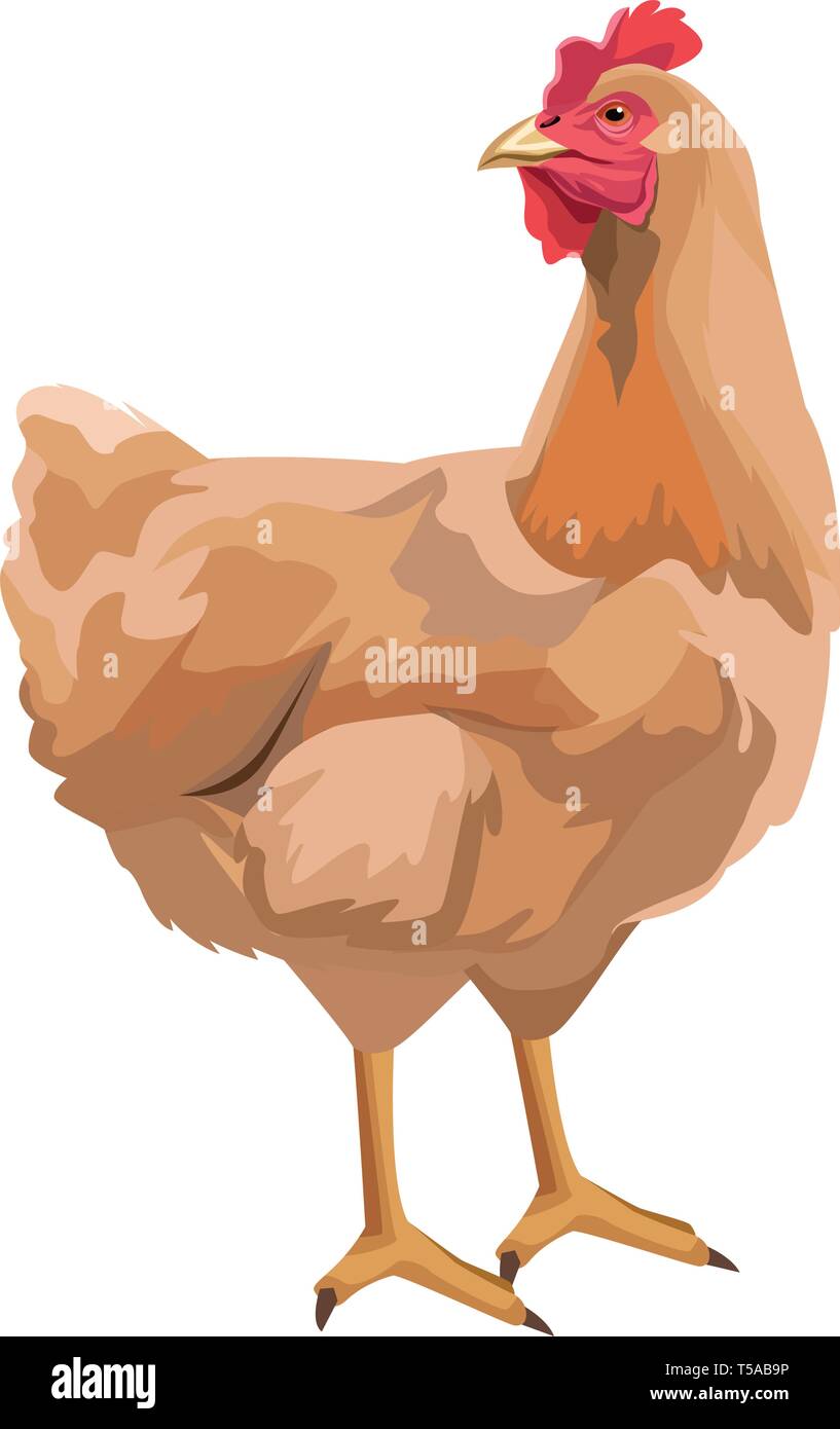 hen icon cartoon Stock Vector Image & Art - Alamy