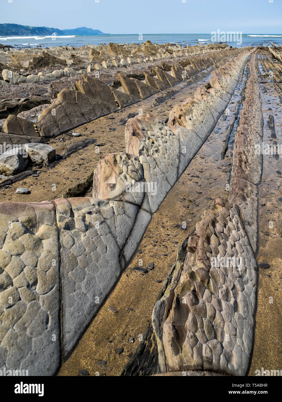 Flysch Coast of Sakoneta, Zumaia, Spain. Flysch is a sequence of ...
