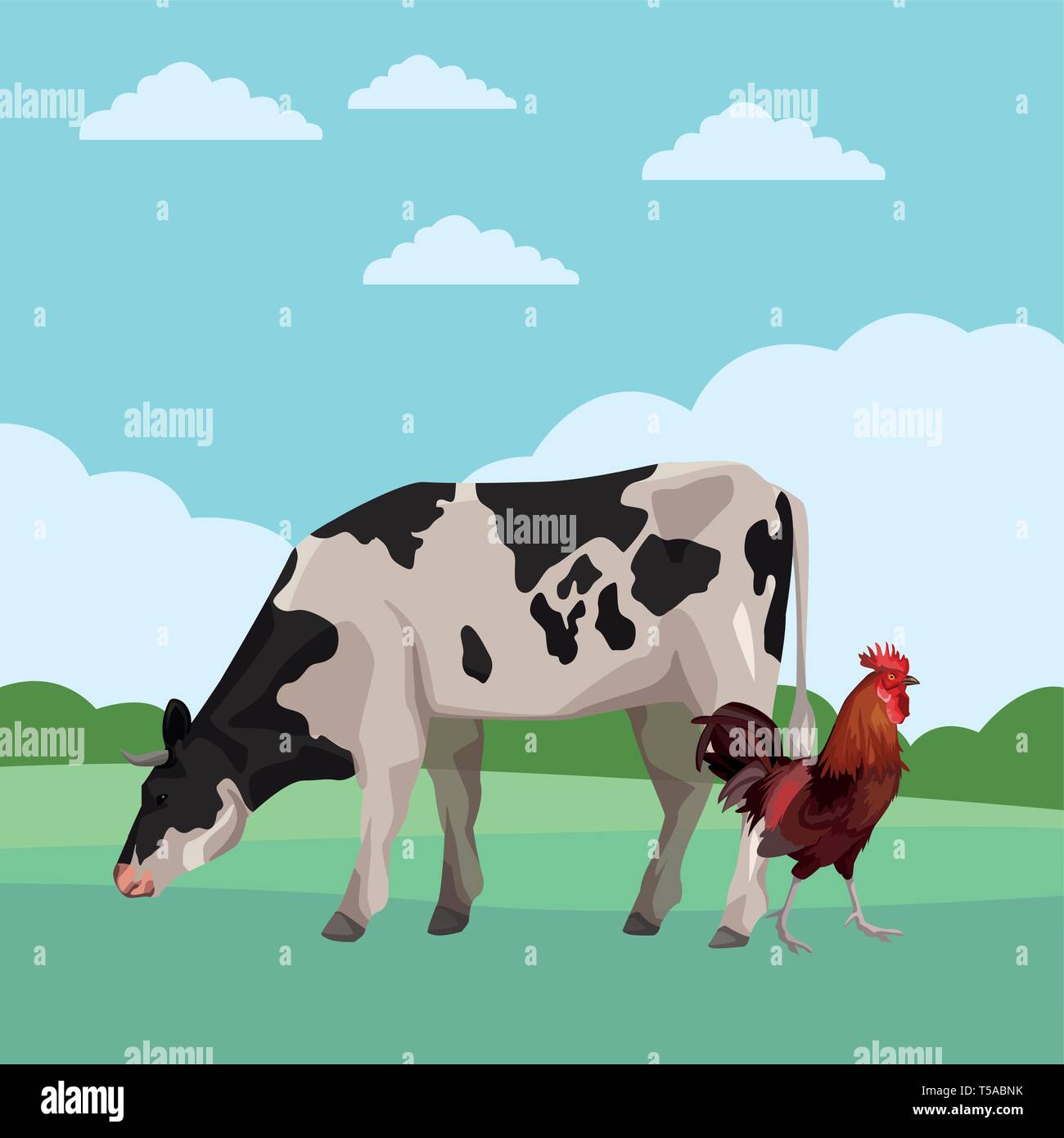 cow and rooster Stock Vector Image & Art - Alamy