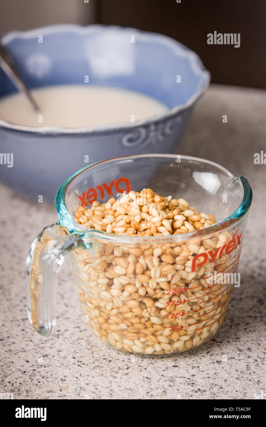 Whole wheat berries hi-res stock photography and images - Alamy