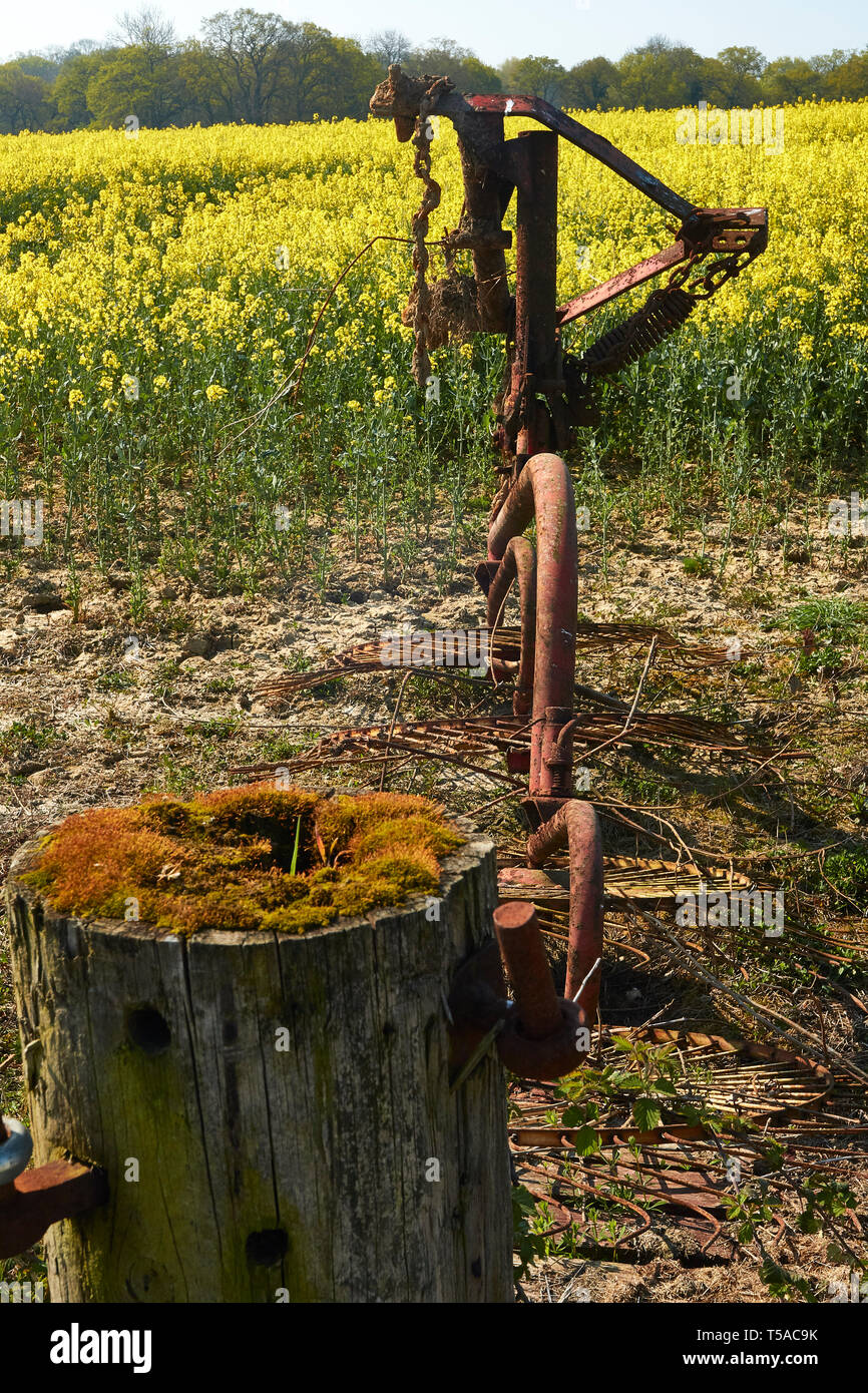 Farm machinery and rapeseed in the spring on farmland in Kent, England ...