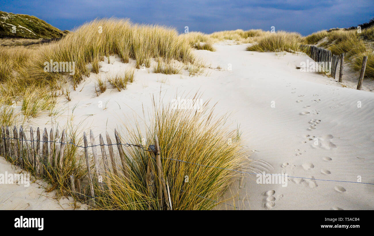 Environnement de dunes hi-res stock photography and images - Alamy