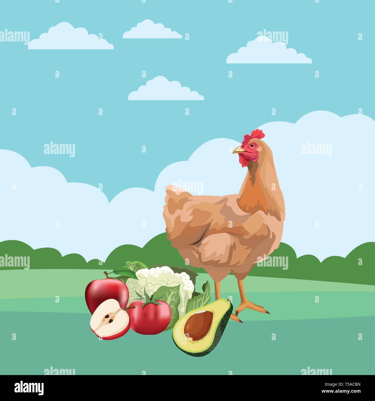 Hen Cartoon High Resolution Stock Photography and Images - Alamy