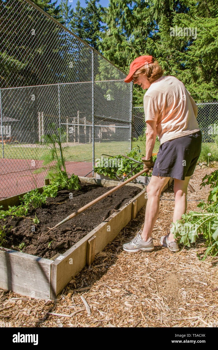 Prepping the soil hi-res stock photography and images - Alamy