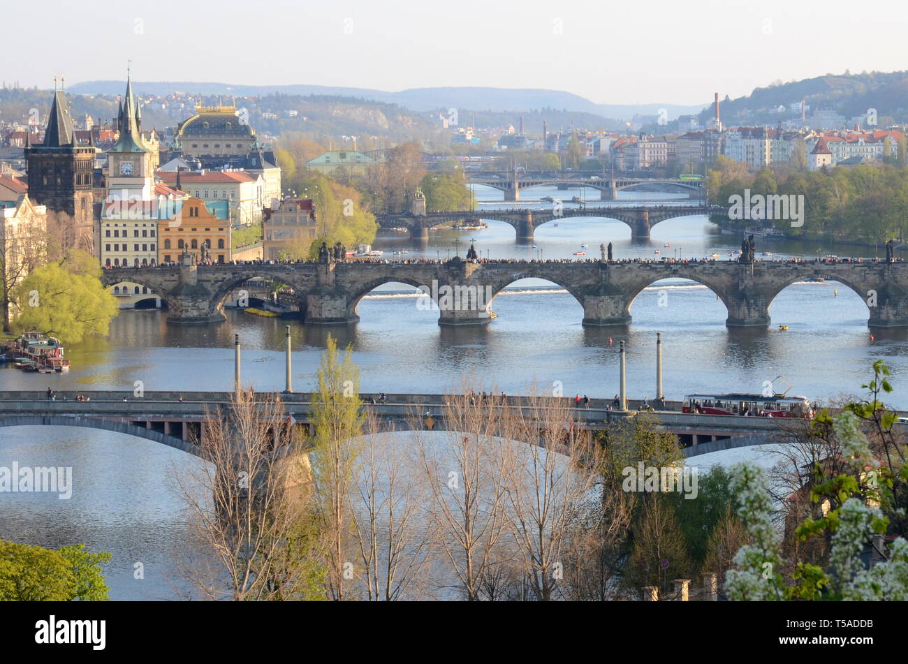 Bridges of Prague in spring Stock Photo - Alamy