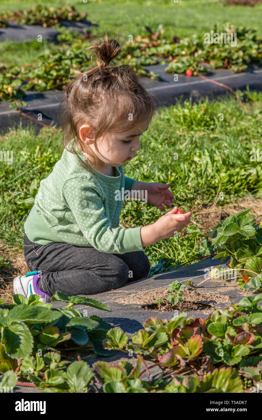 Toddler girl eat soil hi-res stock photography and images - Alamy