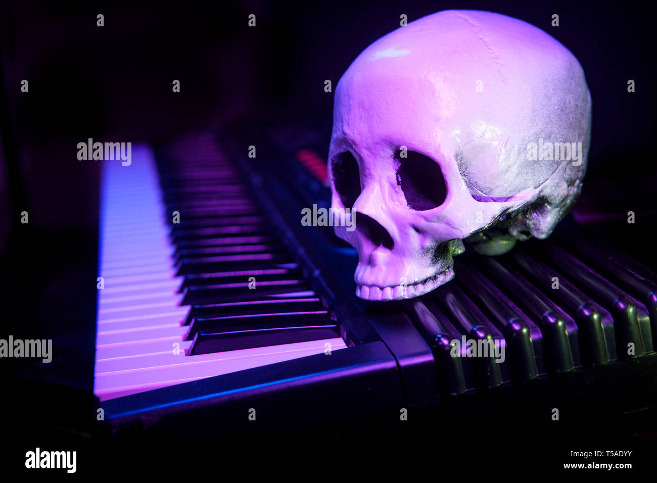 Human skull on electric piano keyboard for scary musical performance ...