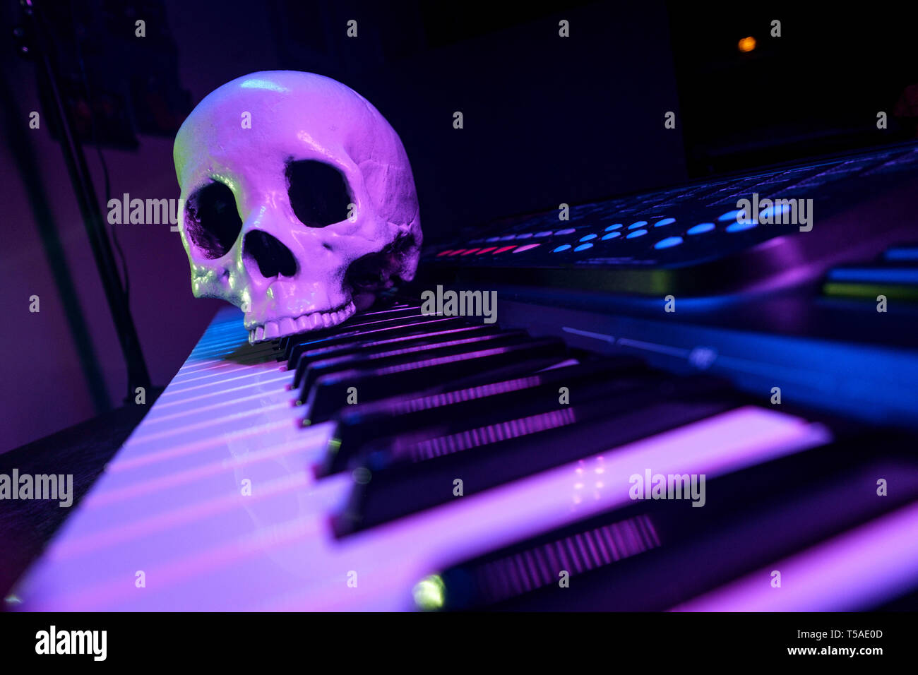 Human skull on electric piano keyboard for scary musical performance ...