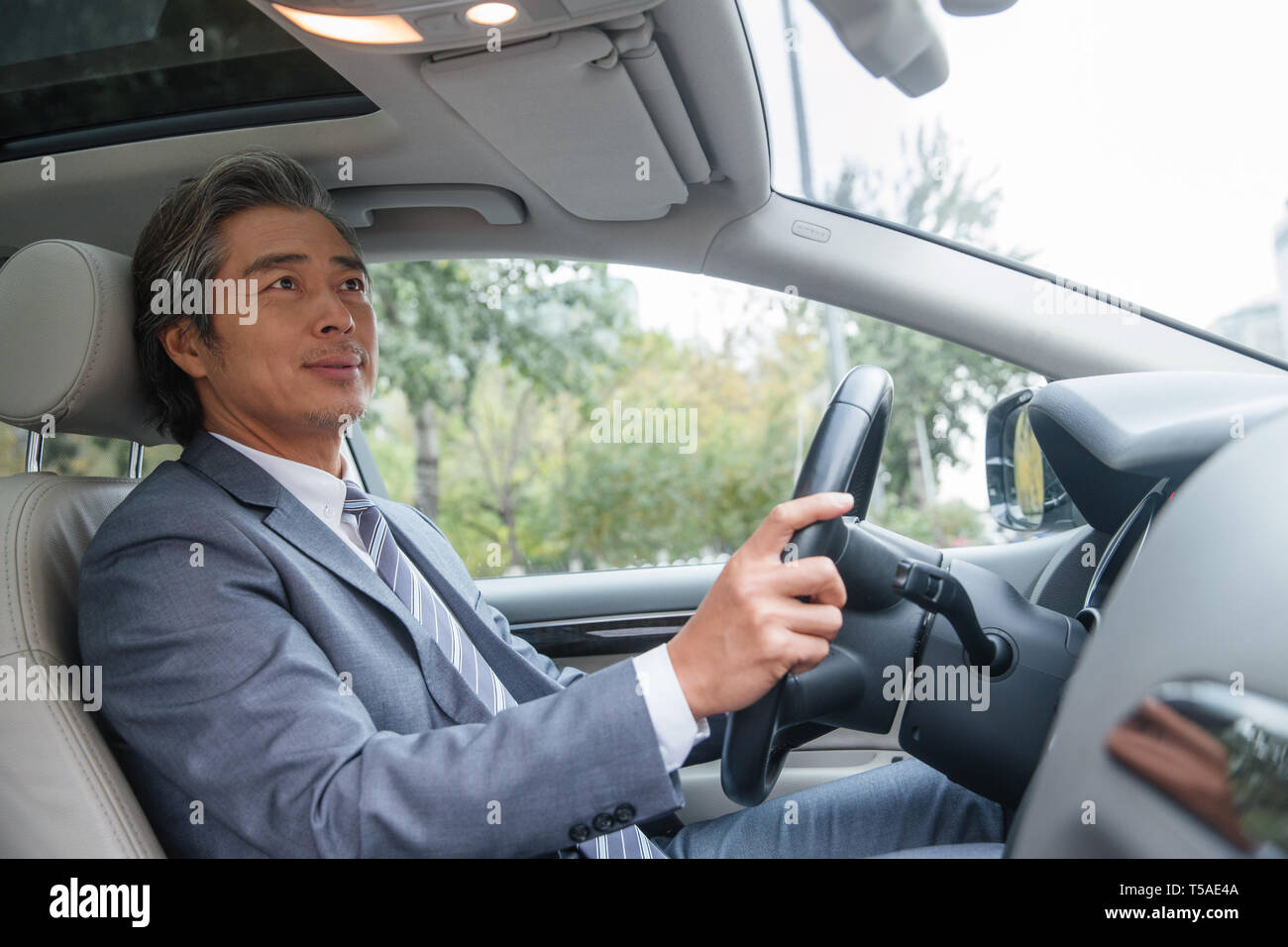 The business man driving a car Stock Photo - Alamy
