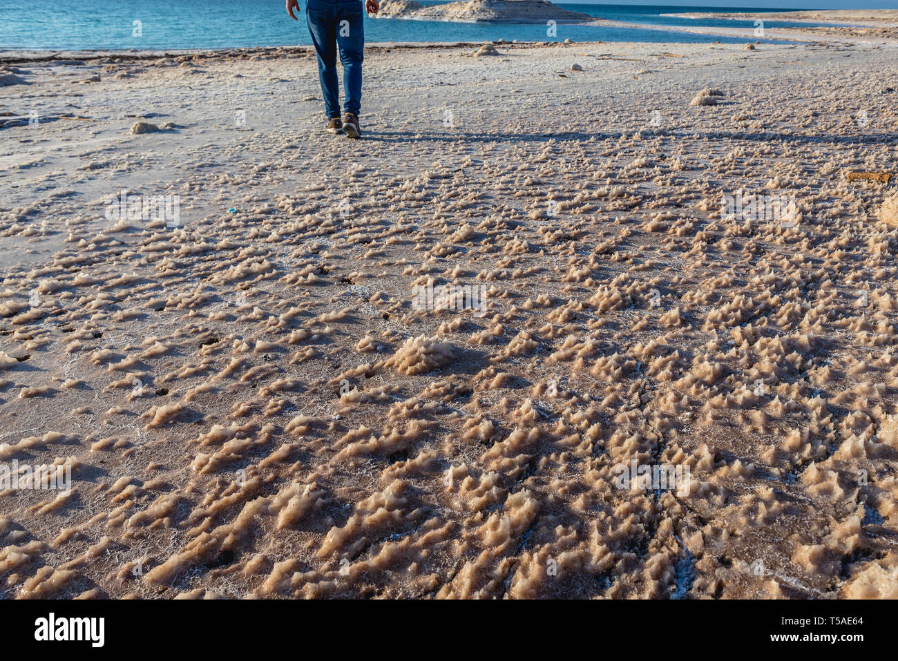 Halite deposit on a shore of Dead Sea in Jordan Stock Photo - Alamy