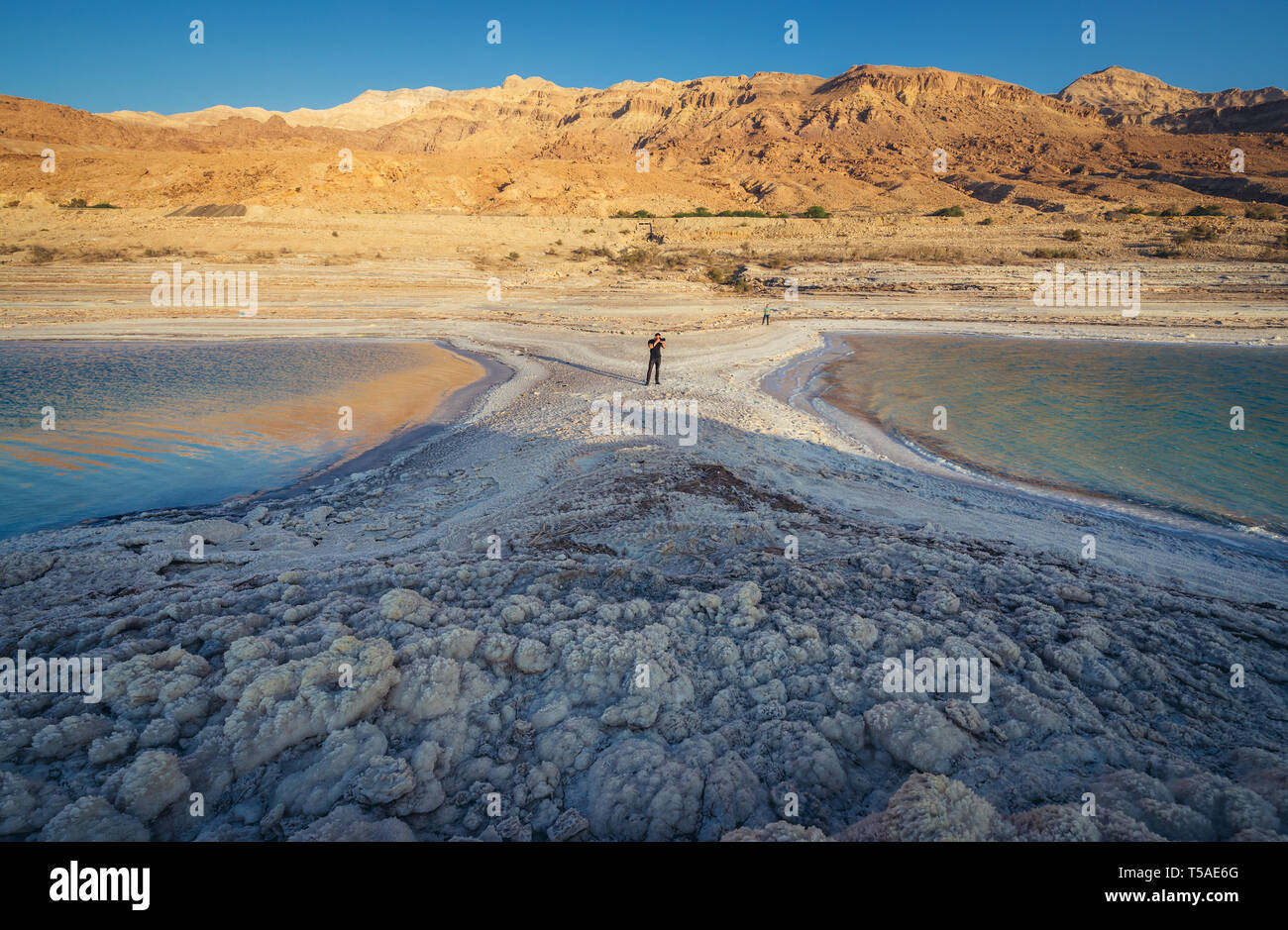 Large halite deposits on a shore of Dead Sea in Jordan Stock Photo - Alamy