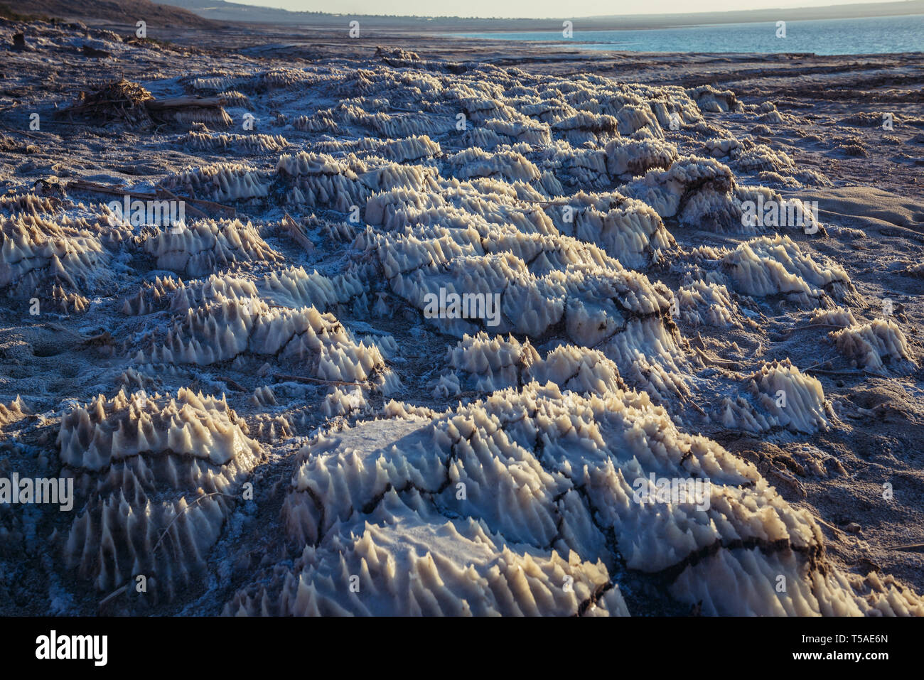 Jordan salt drying hi-res stock photography and images - Alamy