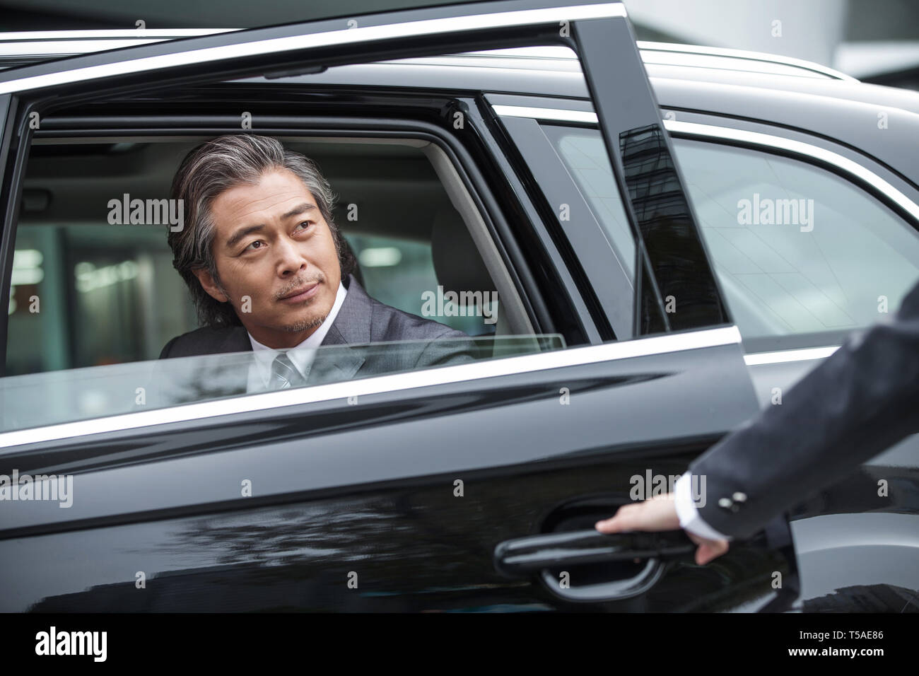 Business man in the car Stock Photo - Alamy