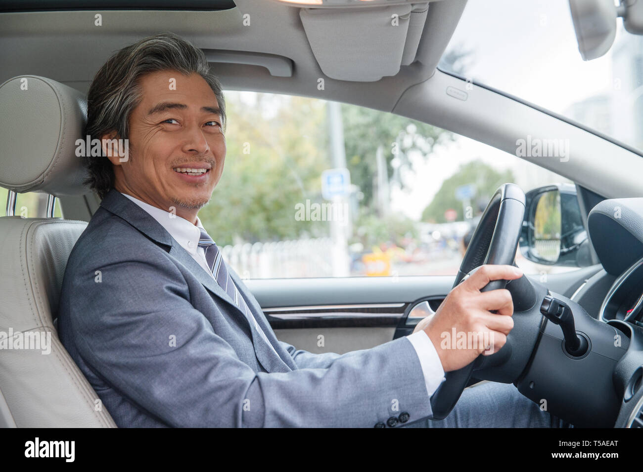 The business man driving a car Stock Photo - Alamy