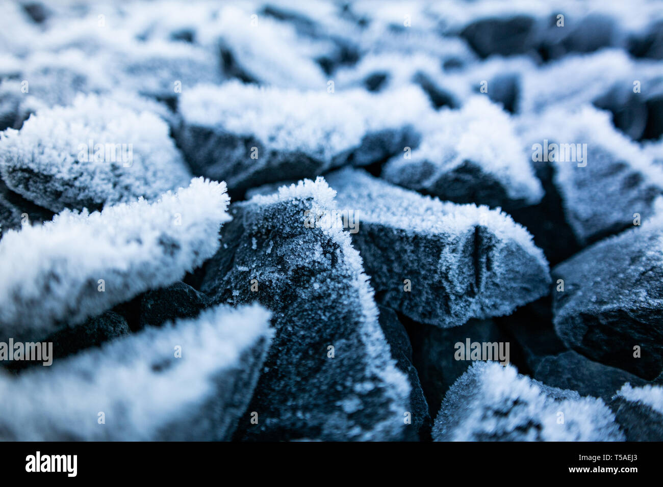 Winter is coming Stock Photo - Alamy