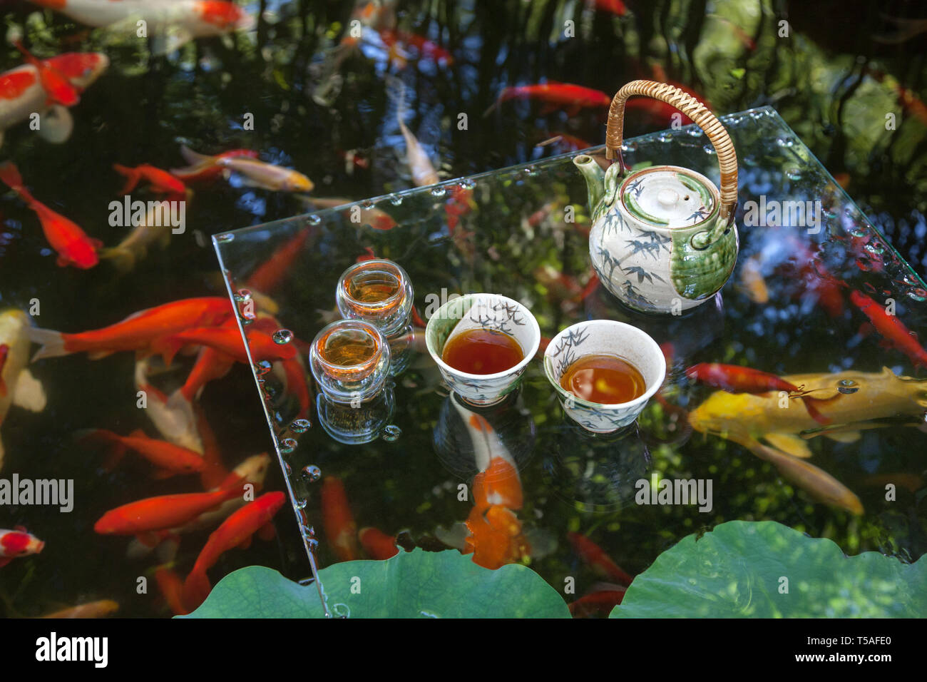 Teapot in pond hi-res stock photography and images - Alamy