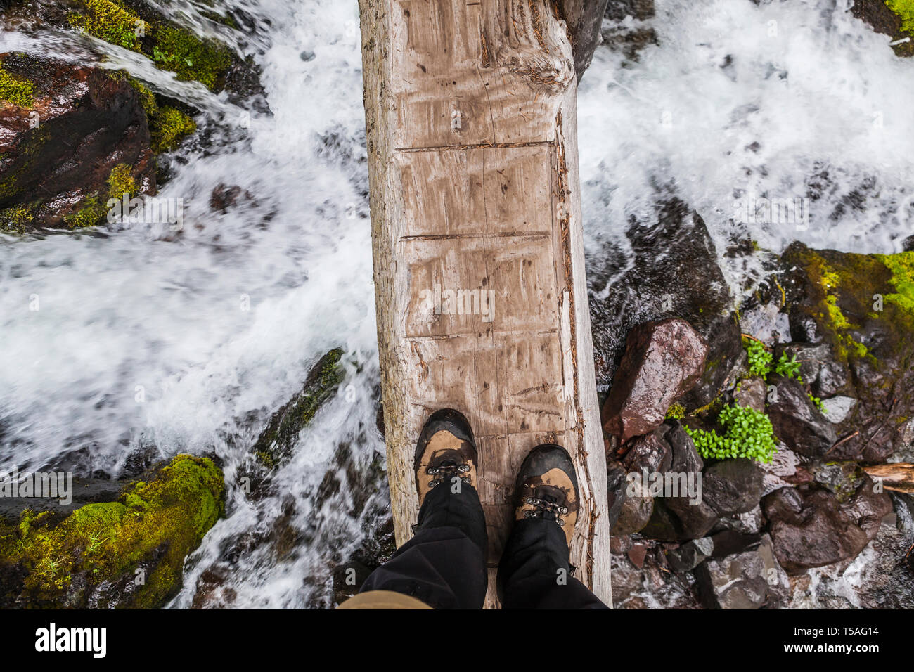 A first person view of my legs and feet as I crossed a log bridge over ...