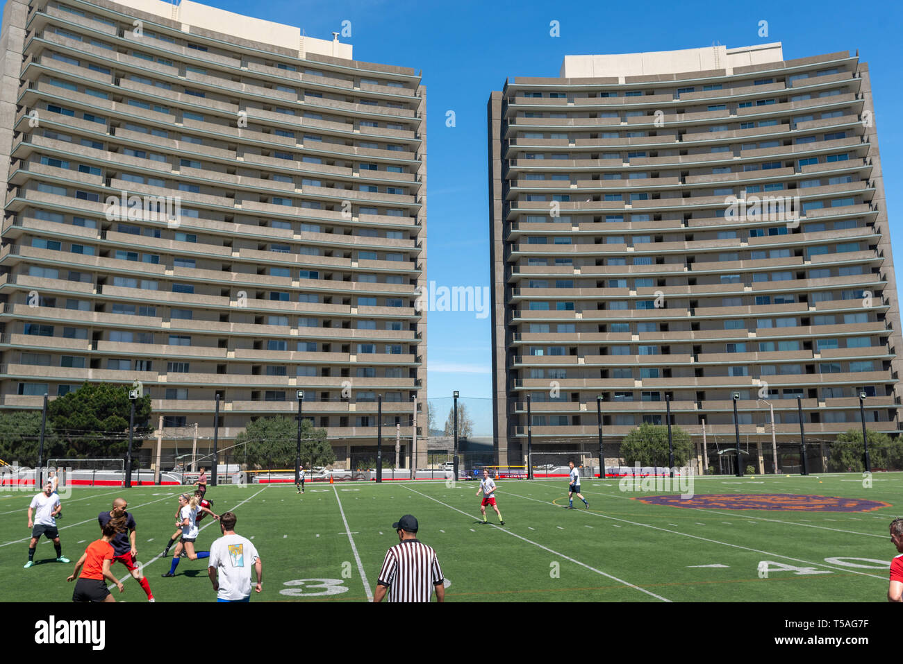 Phoenix rising stadium hi-res stock photography and images - Alamy