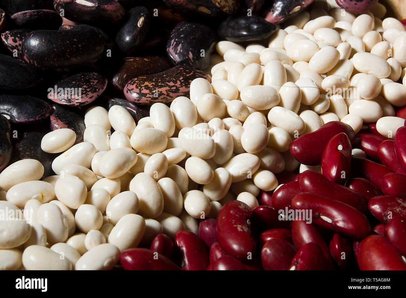 Mix of different in size and color of beans Stock Photo - Alamy