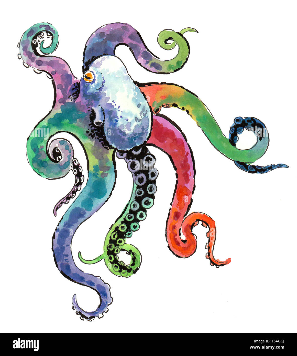 Colorful Octopus Photography