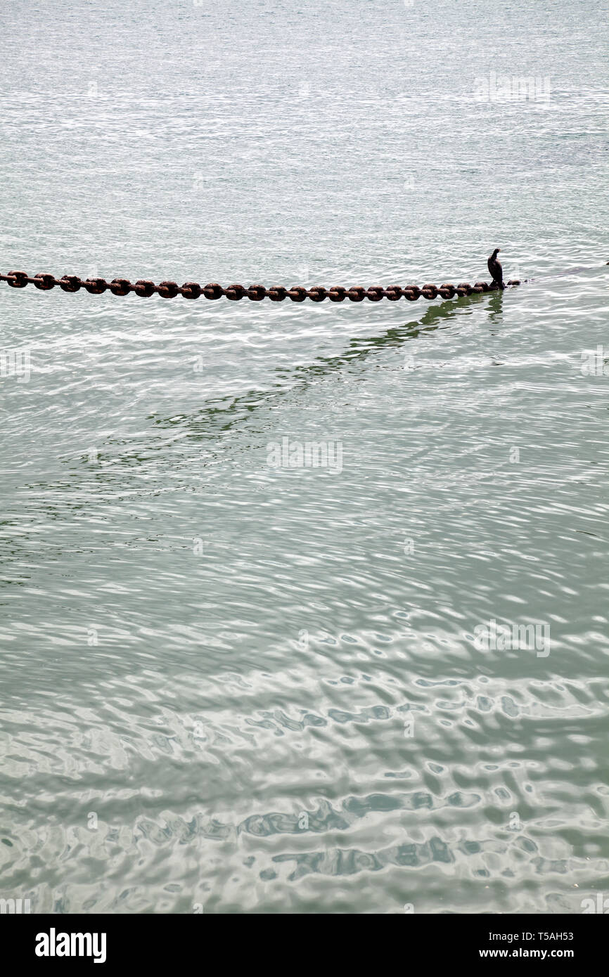 Water Chain and Bird Stock Photo - Alamy