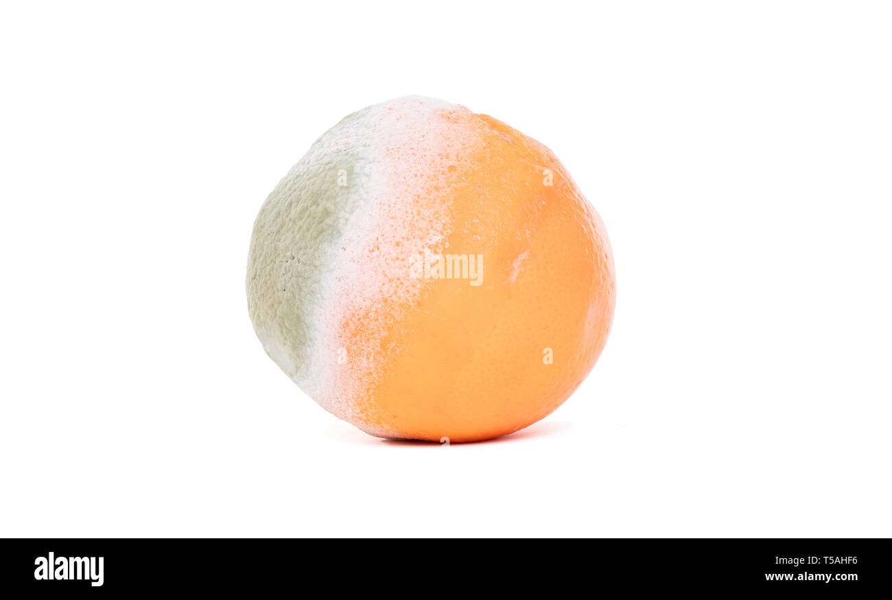Rotten orange isolated on a white background Stock Photo - Alamy