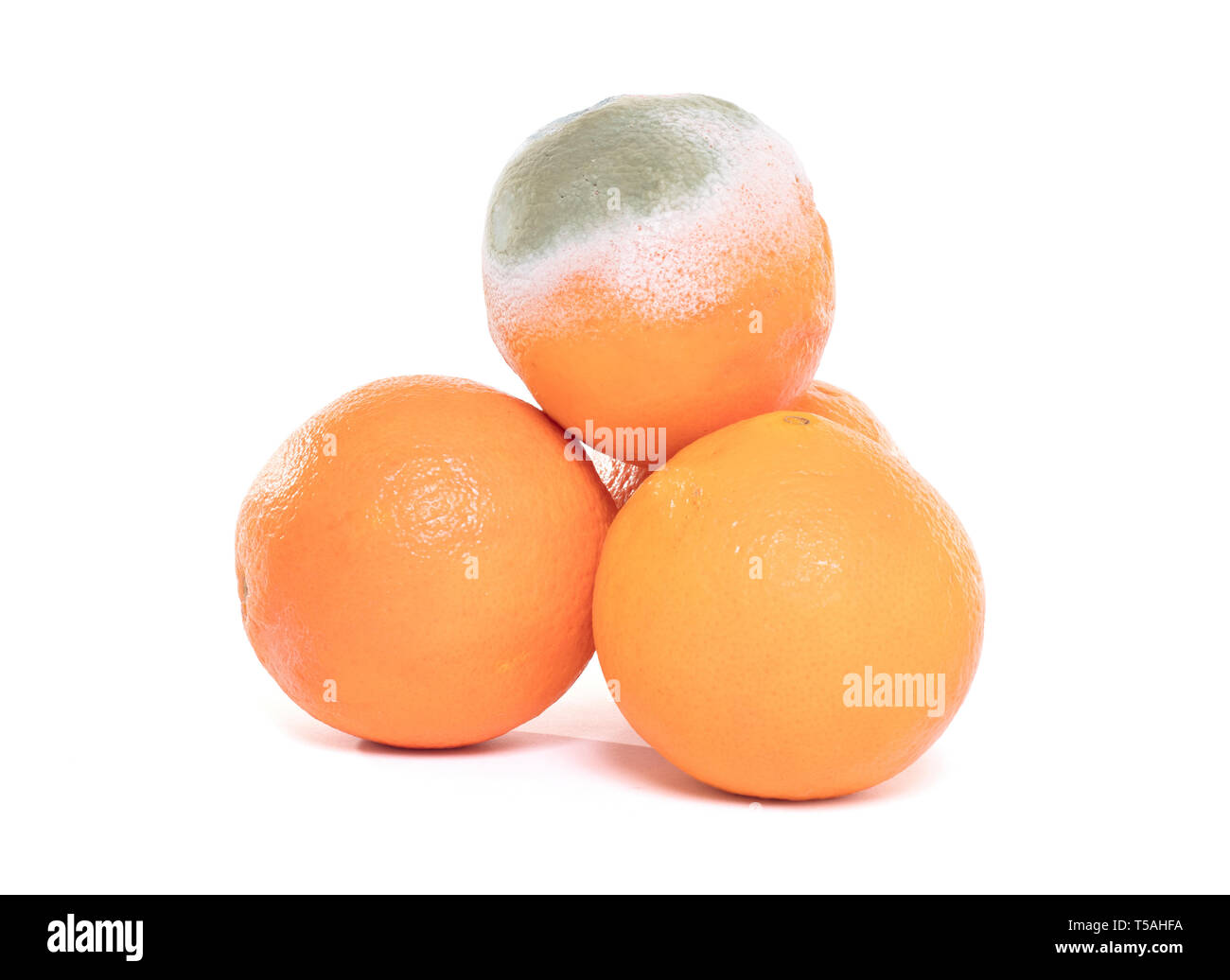 Rotten orange isolated on a white background Stock Photo - Alamy