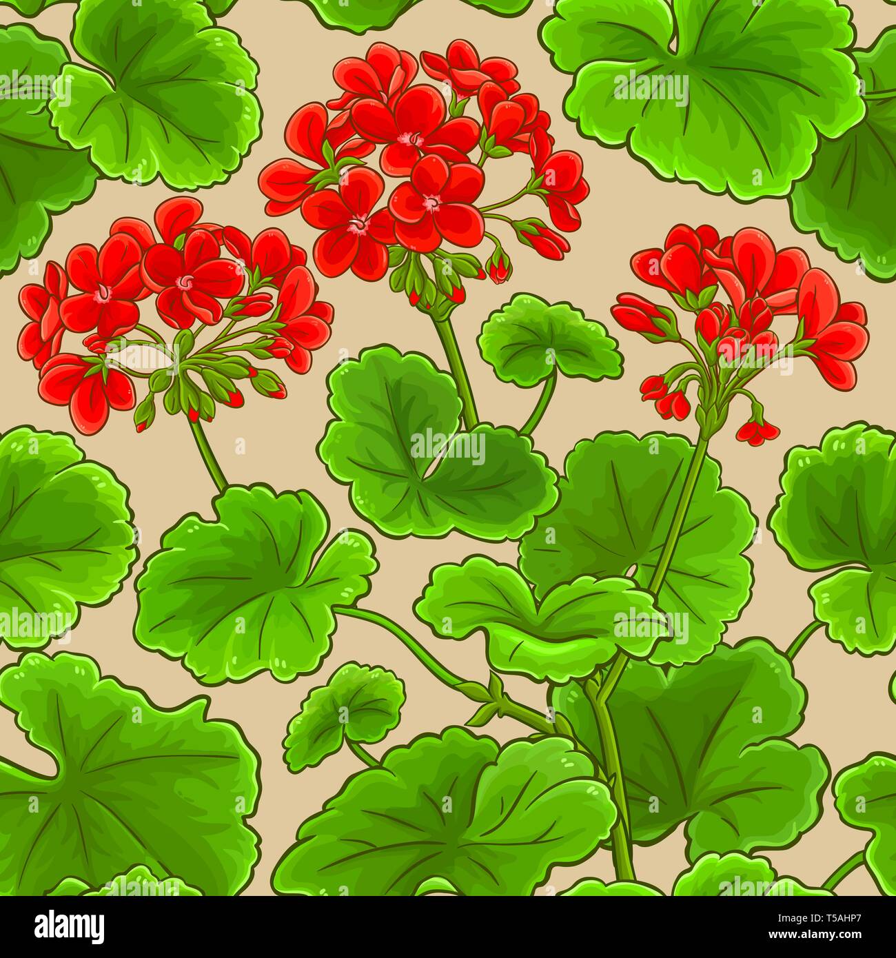 Geranium flower vector vectors hi-res stock photography and images - Alamy