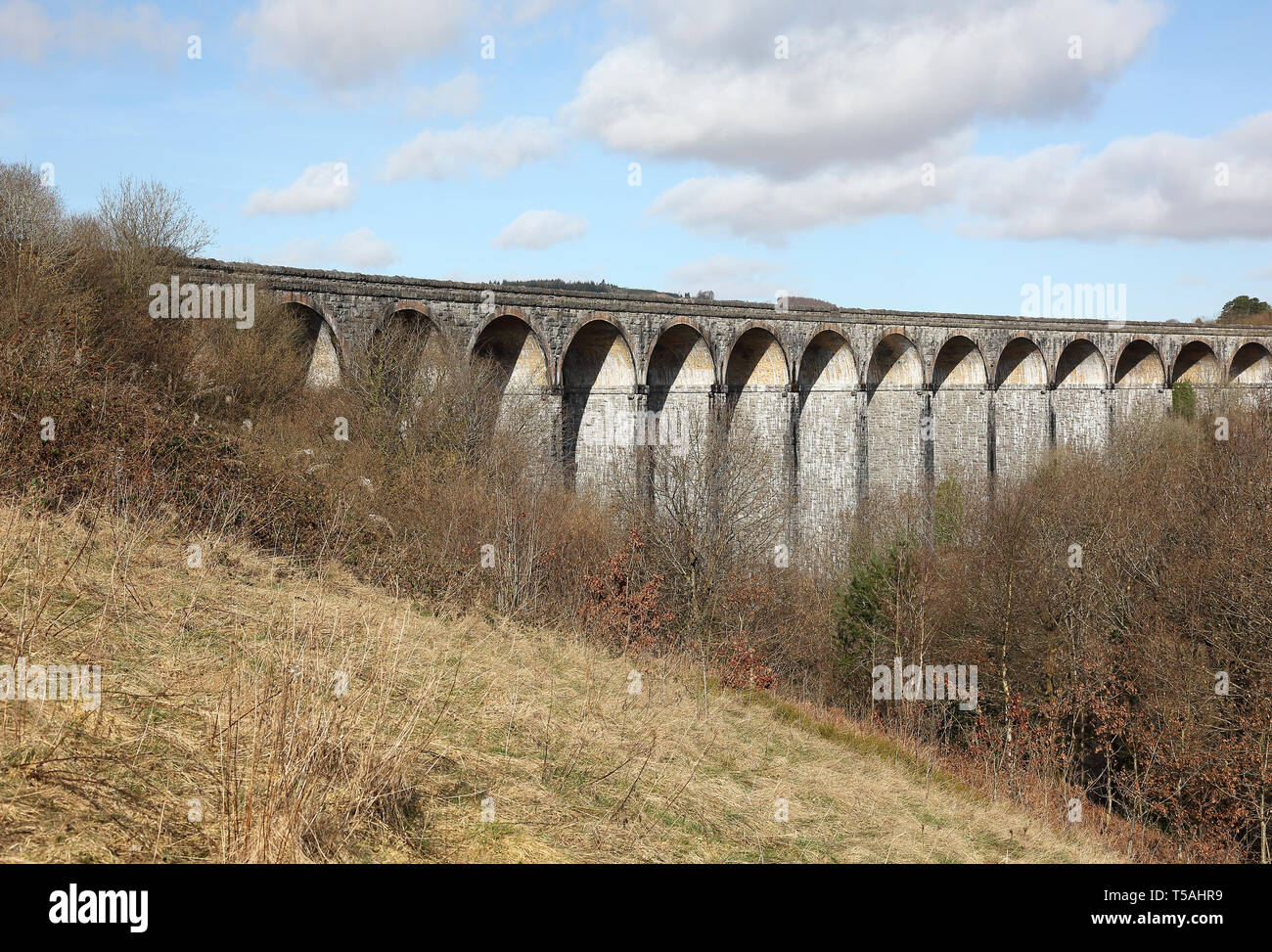 Cefn viaduct hi-res stock photography and images - Alamy