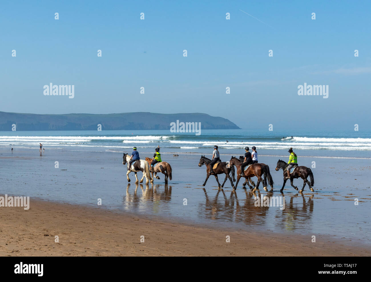 Horse riding in the dunes and on the beach. Riding school staff guide ...