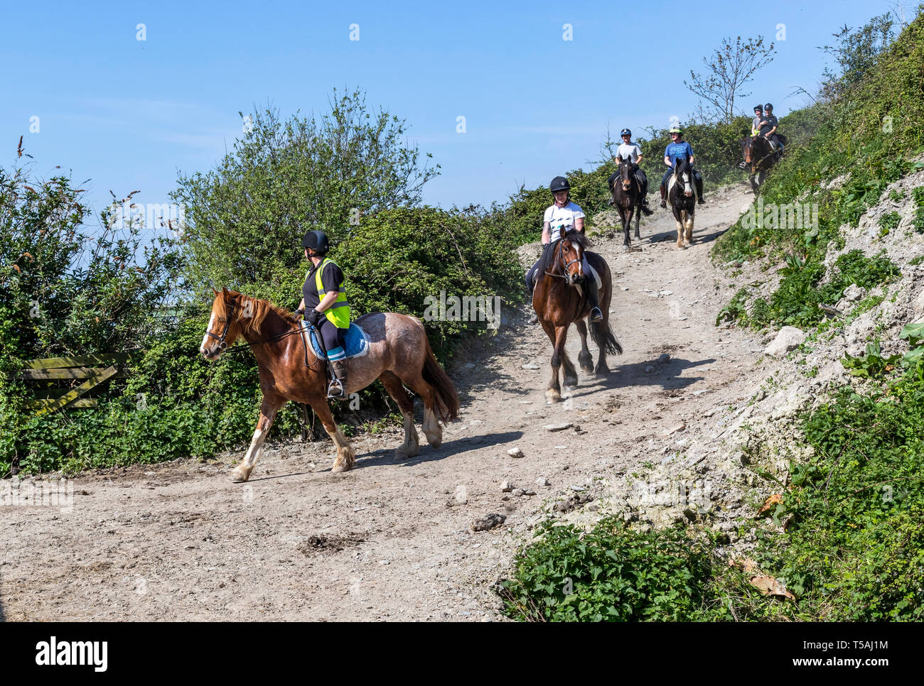 Pony trek on beach hi-res stock photography and images - Alamy