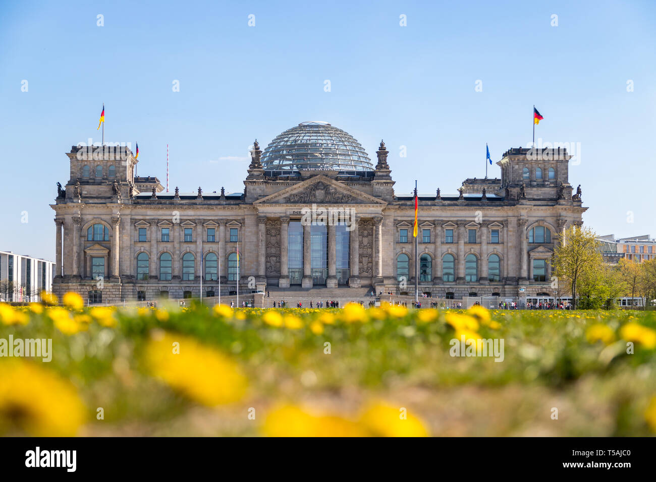 Picture of the Reichstag in Berlin in Springtime, green grass and ...