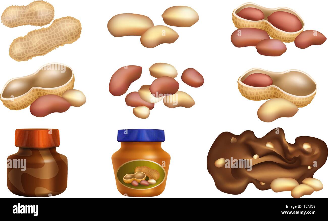 Peanut icons set. Cartoon set of peanut vector icons for web design ...
