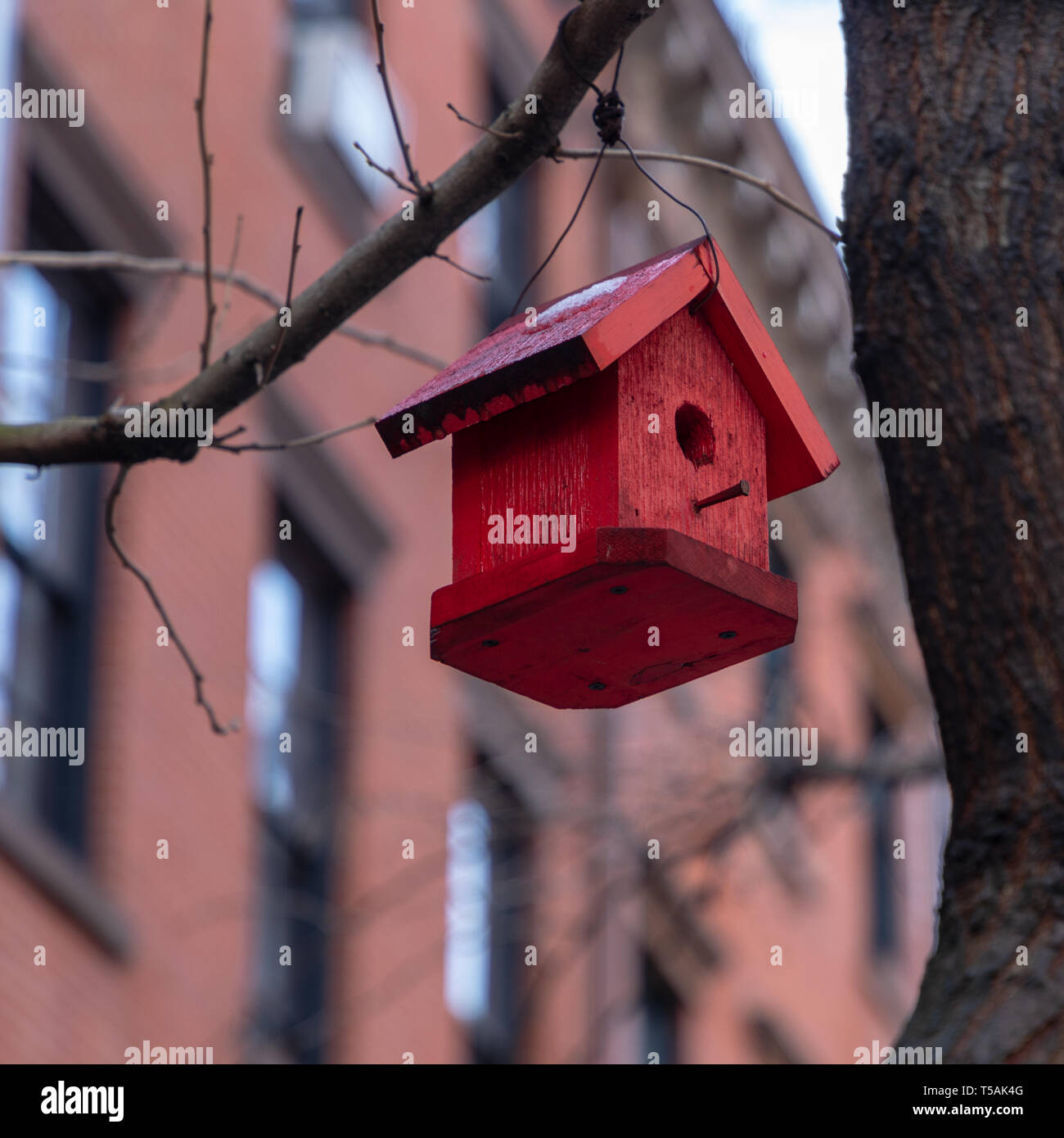 Red Bird Box | New York | USA Stock Photo - Alamy