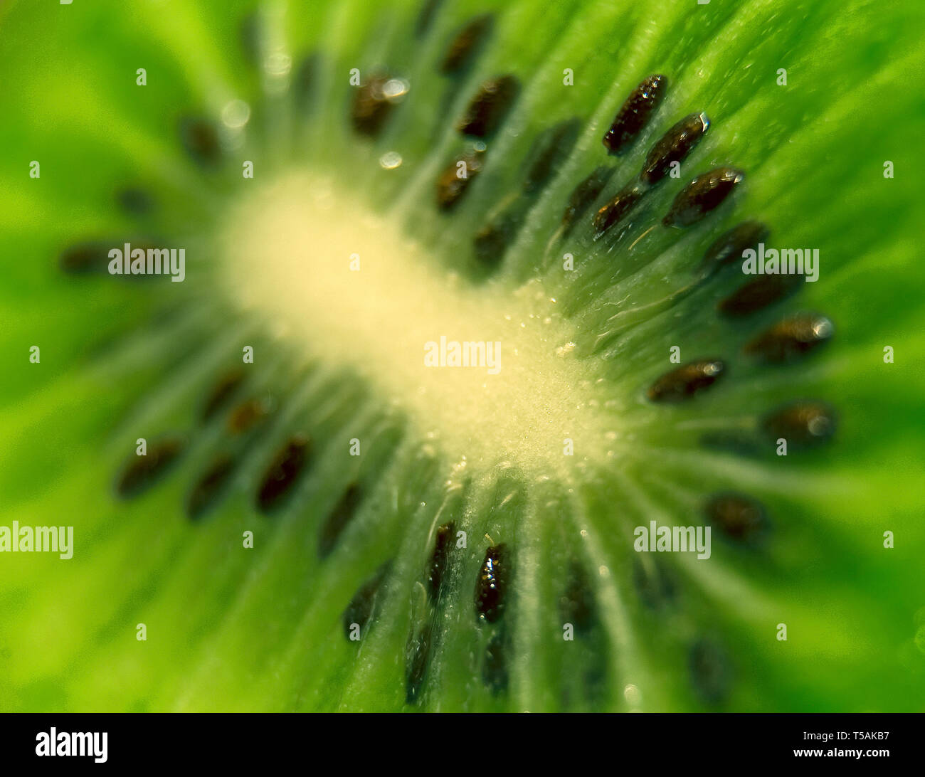 Kiwi close up Stock Photo - Alamy