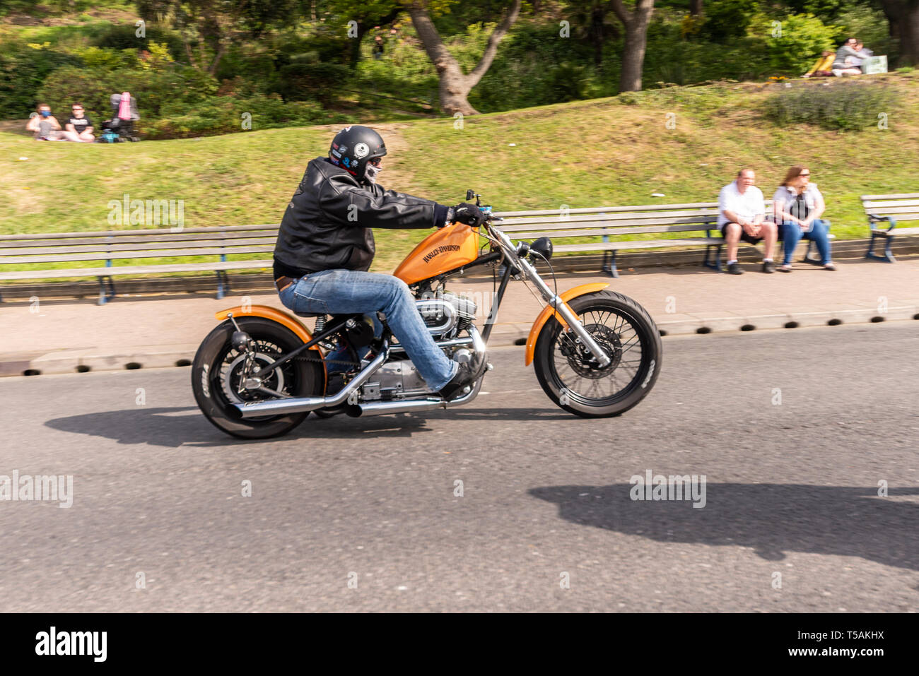 Harley davidson screamin eagle hi-res stock photography and images - Alamy