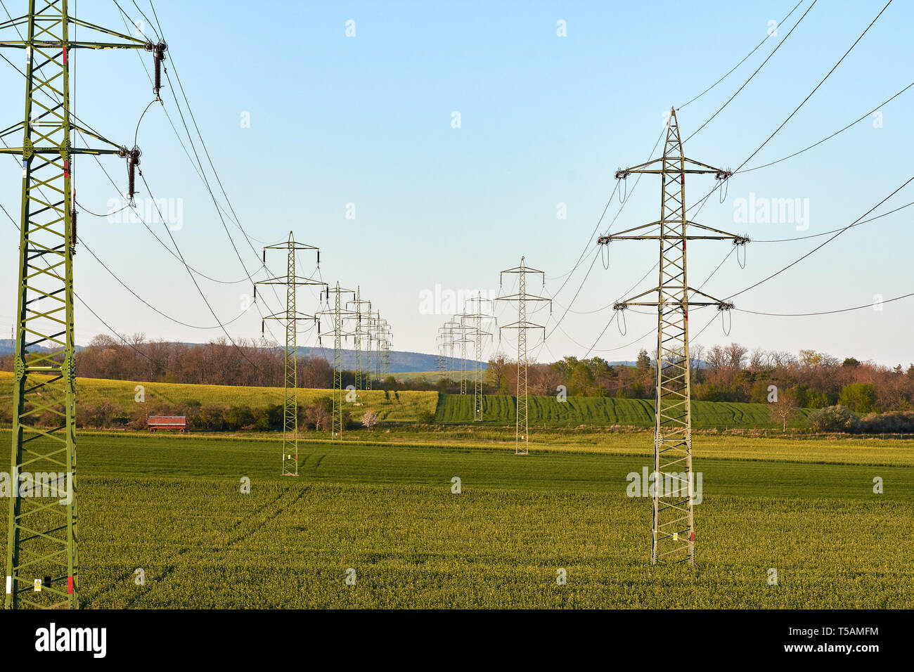 View of power lines in spring landscape with meadow and field, under ...