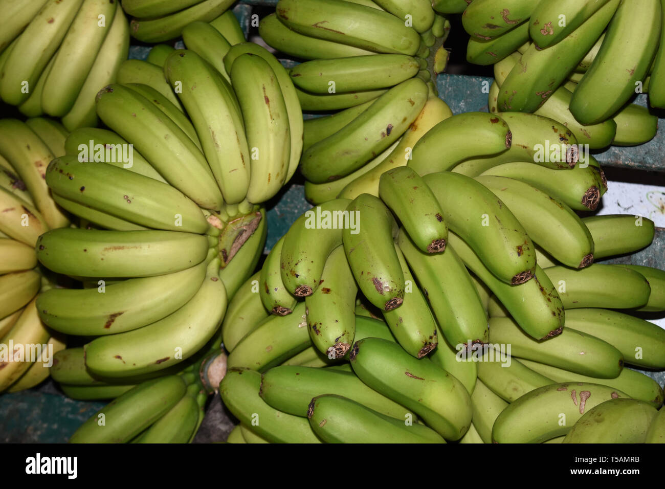 Fresh grown green bananas available at a farmers market Stock Photo - Alamy