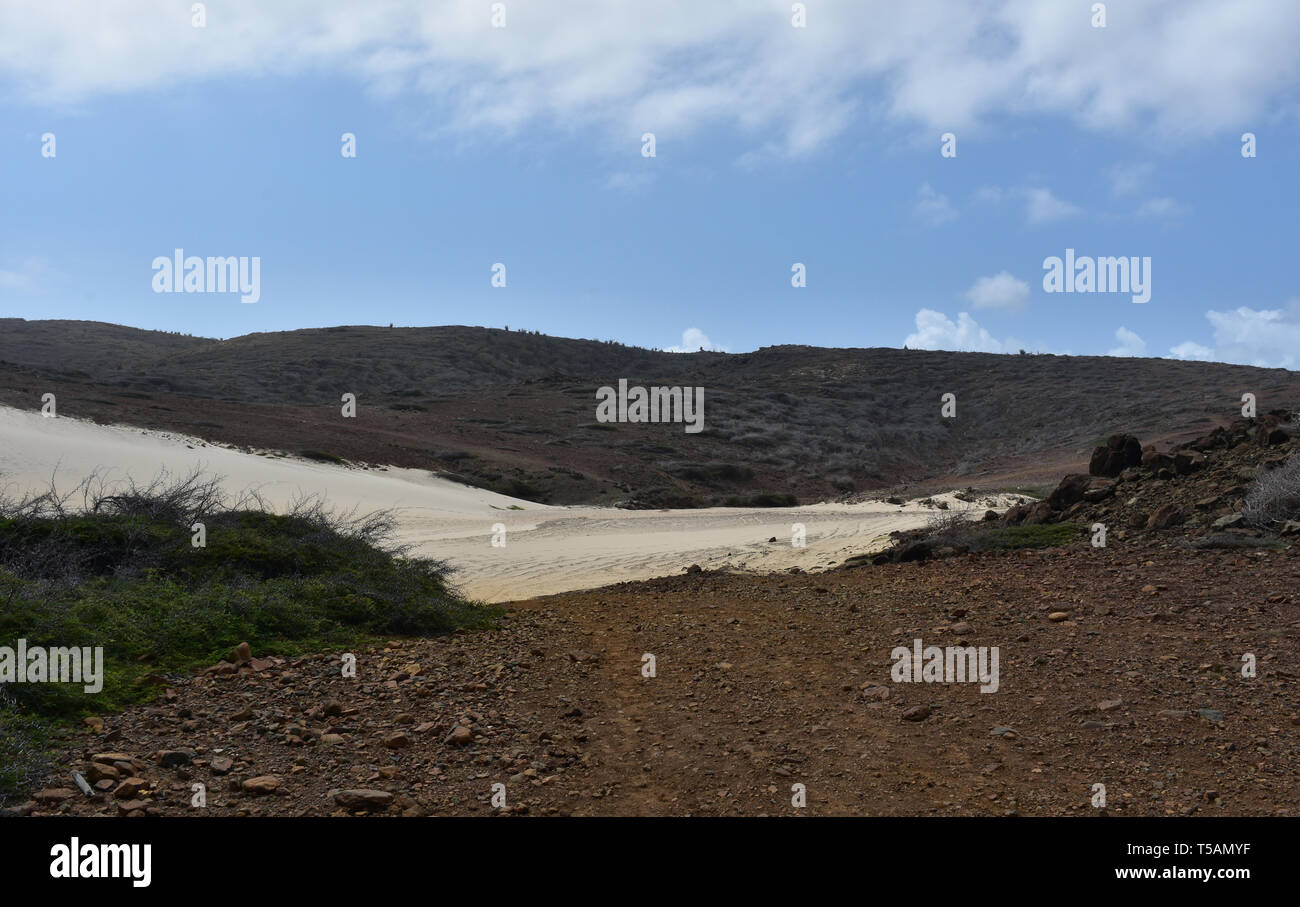 White sand dunes flowing through Arikok National park in Aruba Stock ...