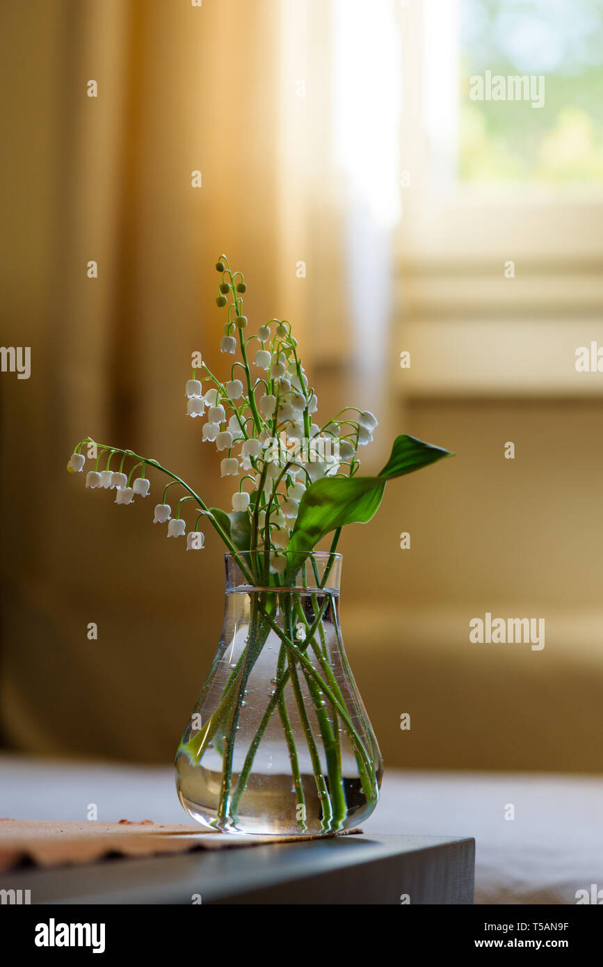 White Trush Flower (Convallaria majalis) o Lily Flower Stock Photo - Alamy