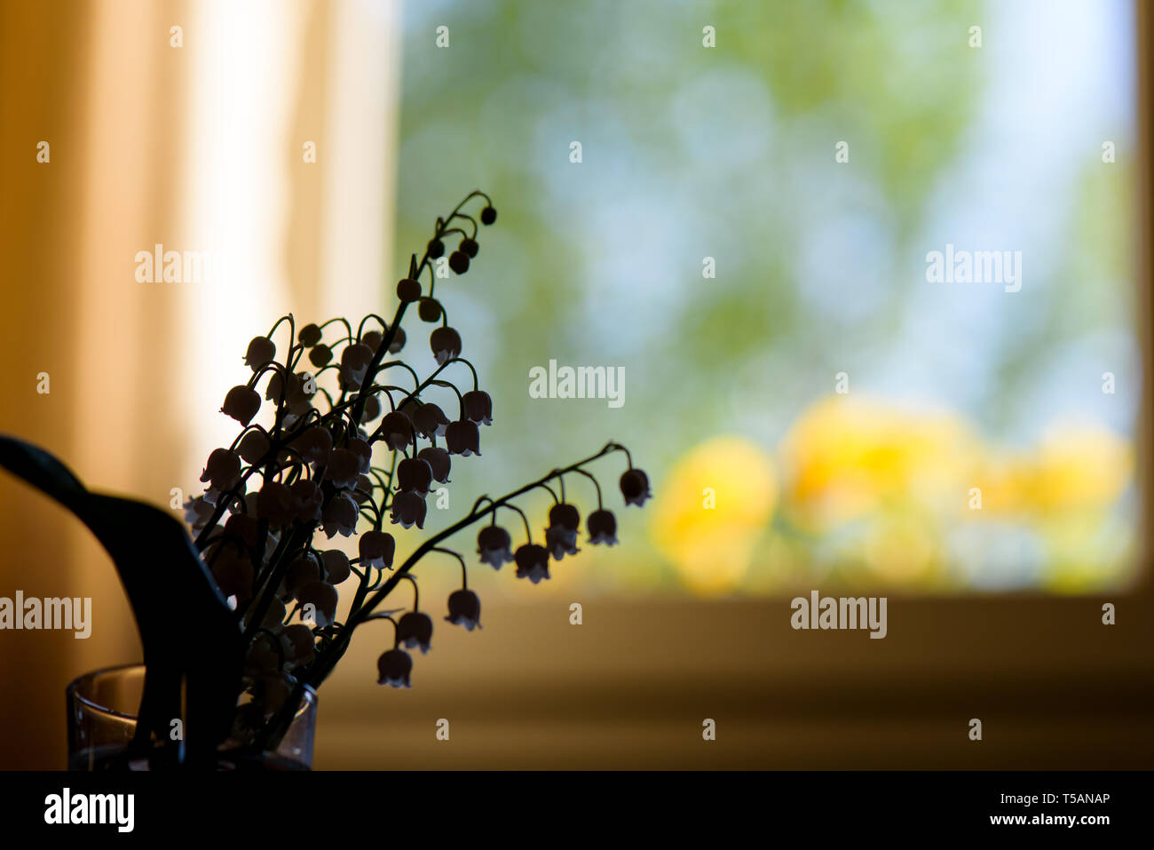 White Trush Flower (Convallaria majalis) o Lily Flower Stock Photo - Alamy