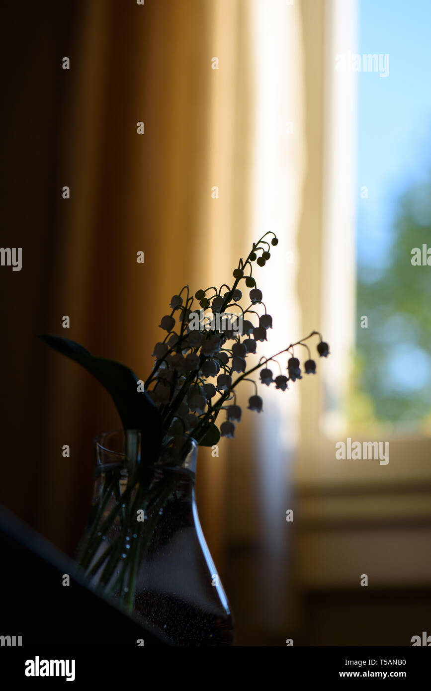 White Trush Flower (Convallaria majalis) o Lily Flower Stock Photo - Alamy